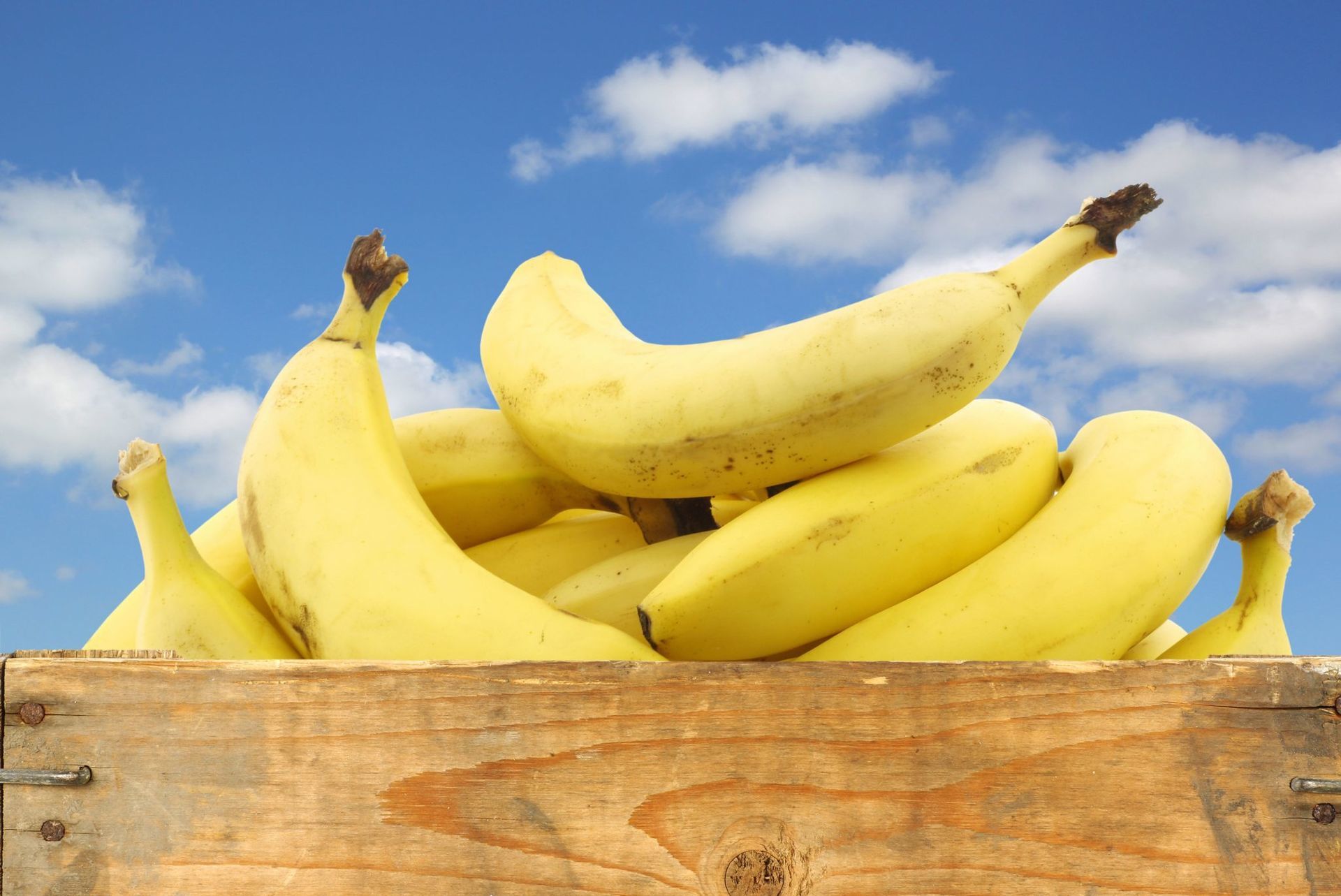 Rijpen van fruit met behulp van gas. - Westfalen Gassen Nederland BV